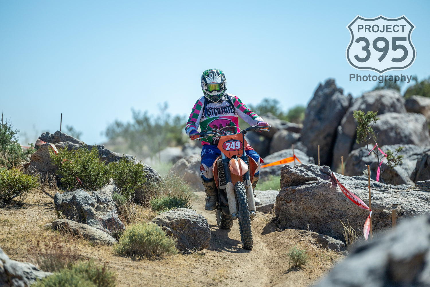 P395 Photos - D37 Club Galleries on the photo site – Project 395 Merch